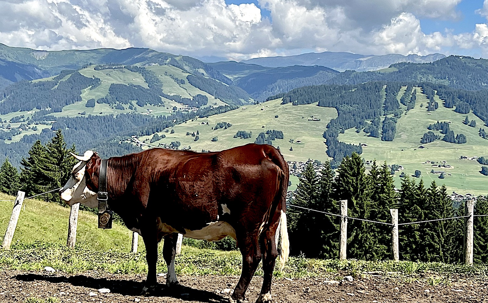 Savoie : le Val d’Arly - Grand Sud Mag