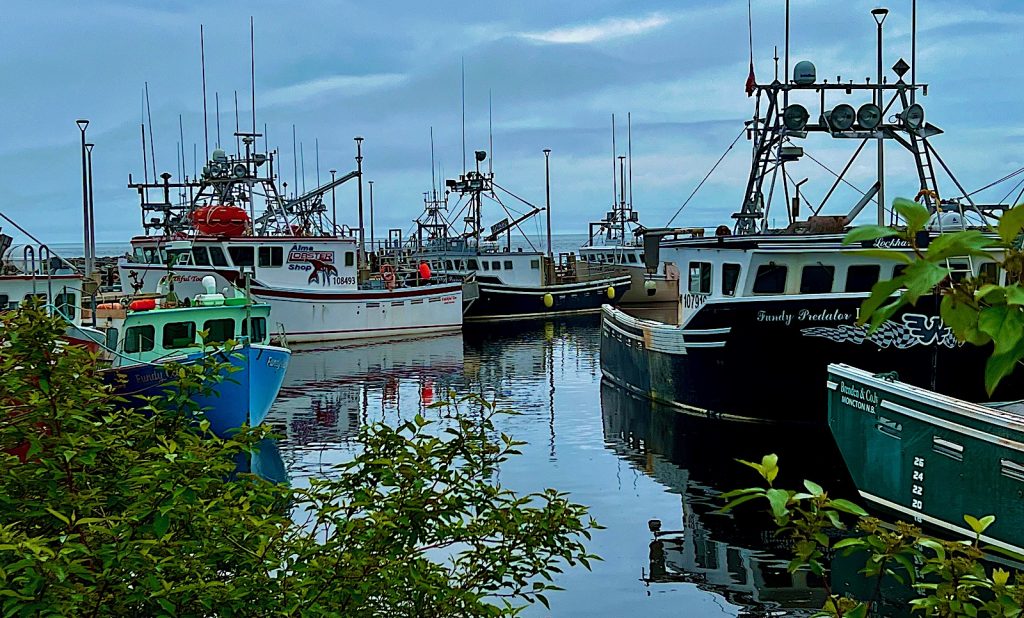 CANADA/Nouveau Brunswick : Tous les Acadiens… - Grand Sud Mag